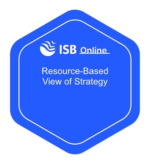 Resource-Based View of Strategy-Strategy Formulation.jpg